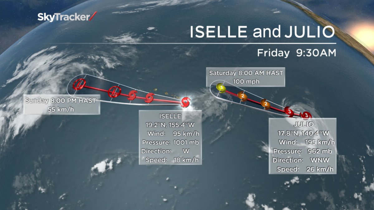 Hawaii hit by weakened Tropical Storm Iselle - National | Globalnews.ca