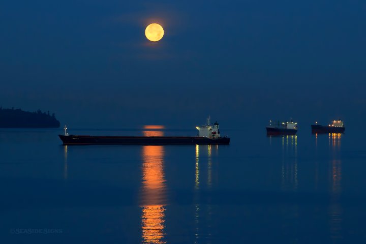 GALLERY: The Supermoon seen across B.C. | Globalnews.ca