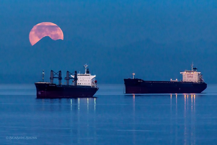GALLERY: The Supermoon seen across B.C. | Globalnews.ca
