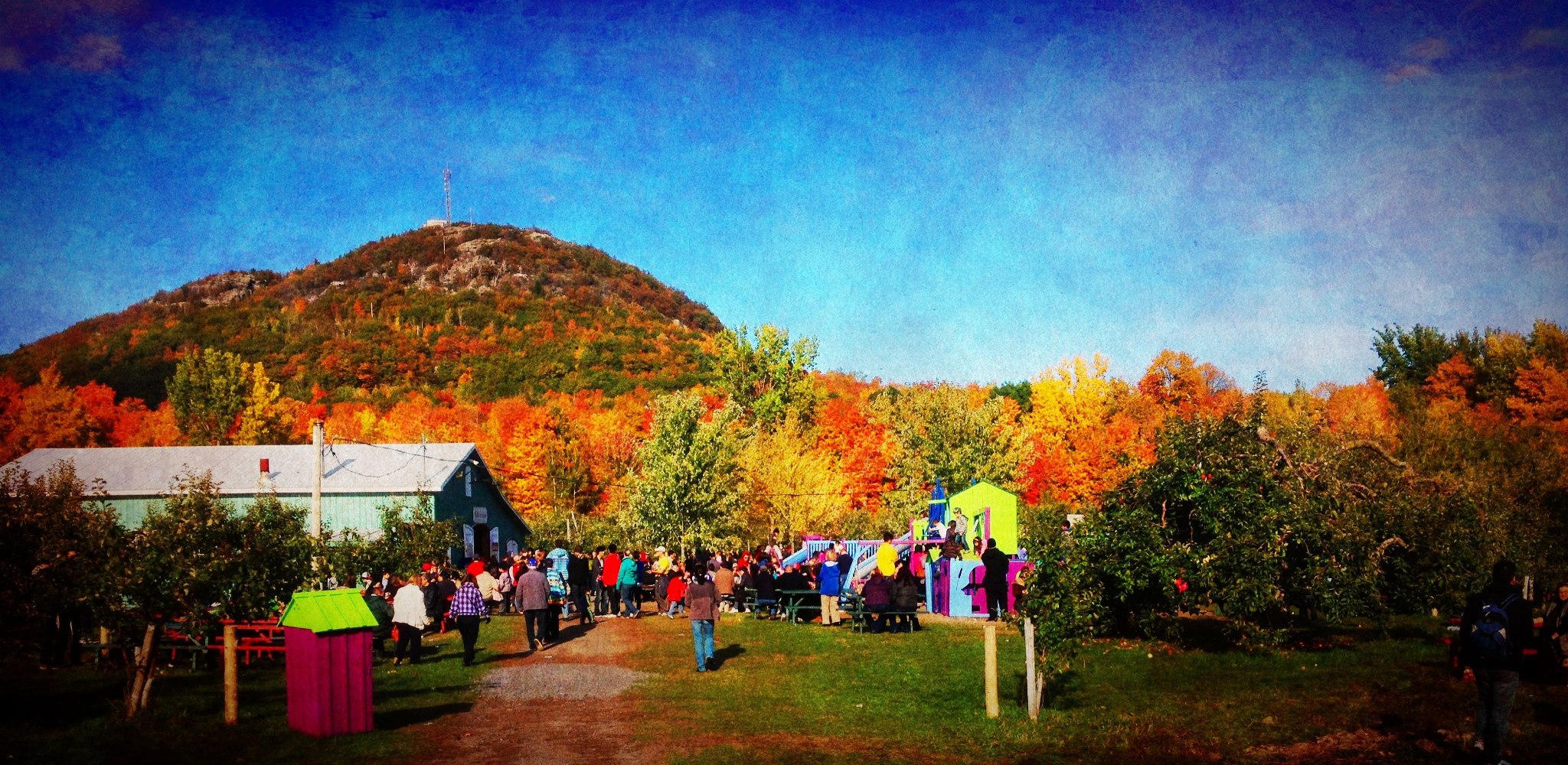 7 reasons why we shouldn’t be sad summer is over - Montreal | Globalnews.ca