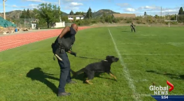 WATCH: Police dog championships | Globalnews.ca