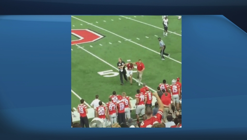 WATCH: Former Ohio State linebacker Anthony Schlegel body-slams fan ...