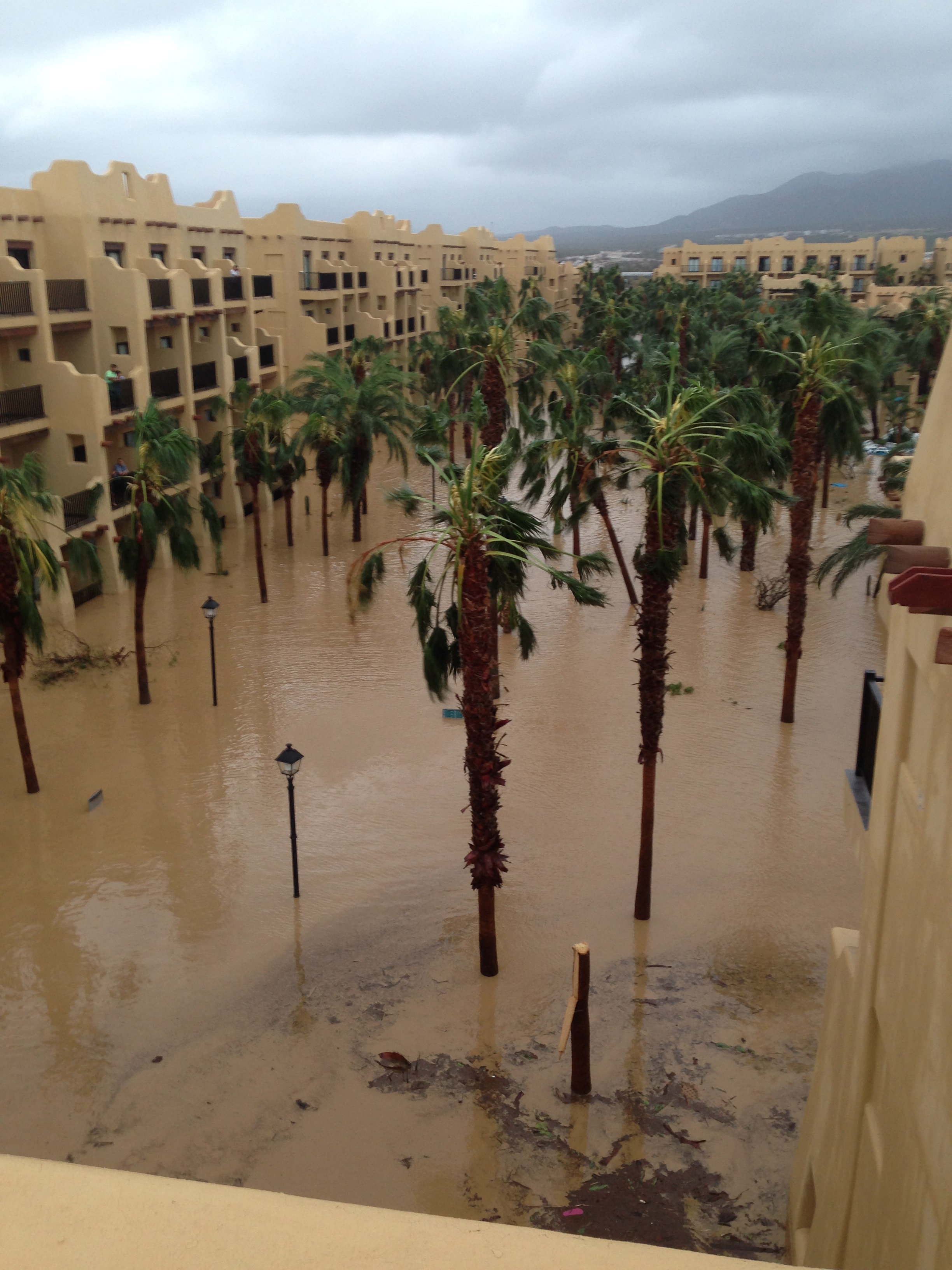 Last rescue flight returns to Calgary from storm-ravaged Cabo San Lucas ...
