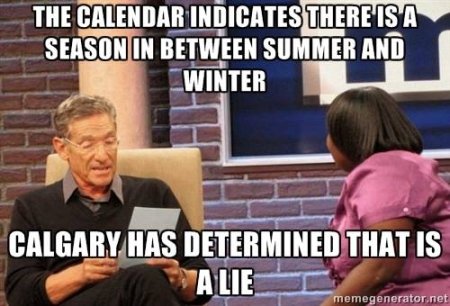 Funny photos and tweets about Calgary’s summer snowstorm | Globalnews.ca