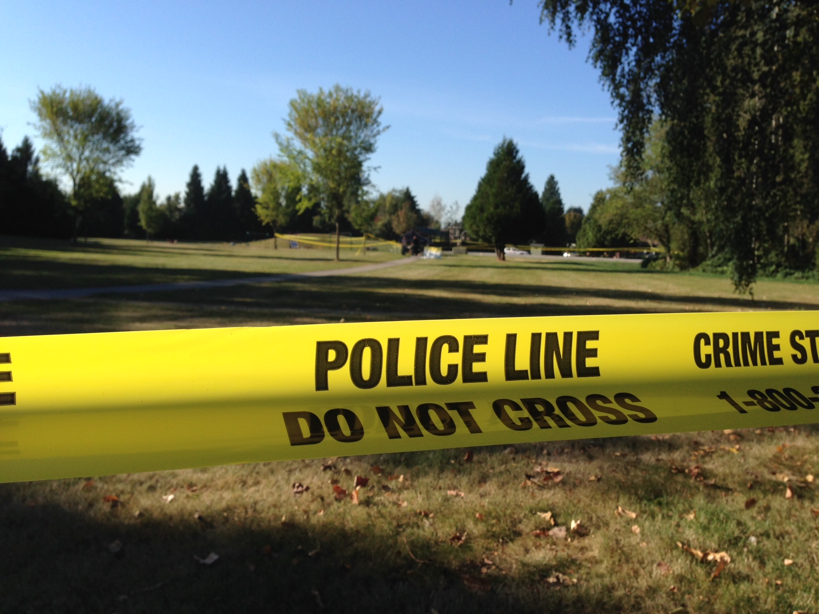 Man Arrested In 1999 Abbotsford Sex Assault Bc Globalnewsca 9164