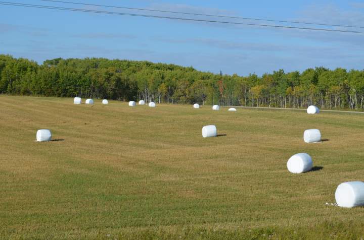 Your Manitoba: September - Winnipeg | Globalnews.ca