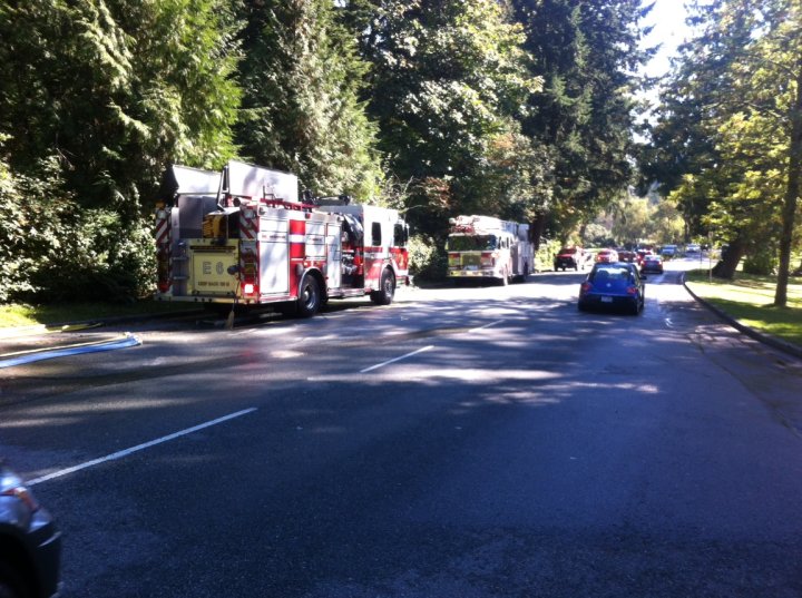 Large tree catches fire near homeless camp in Stanley Park - BC ...