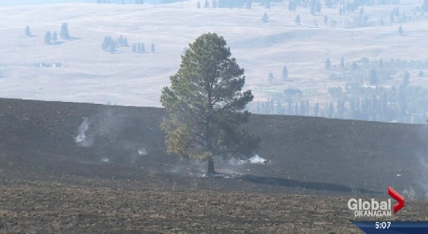 UPDATE: Fast moving wildfire near Princeton scorches 182 hectares ...