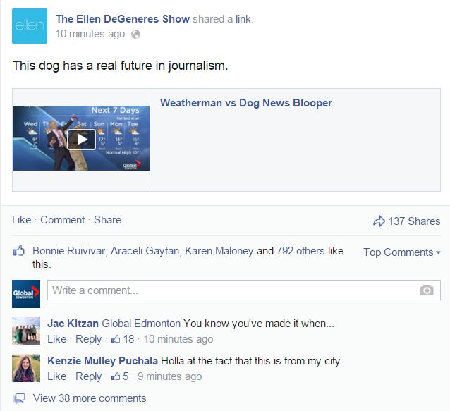 WATCH: Video of Mike Sobel and Ripple the dog’s weather forecast goes ...