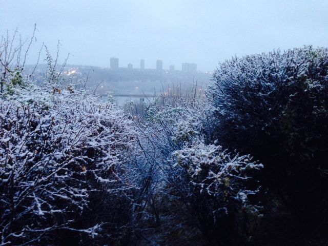 Just a matter of time: Edmonton hit with snowfall - Edmonton ...