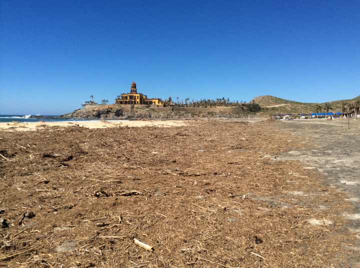 Photos of clean-up in Los Cabos following hurricane show extent of ...