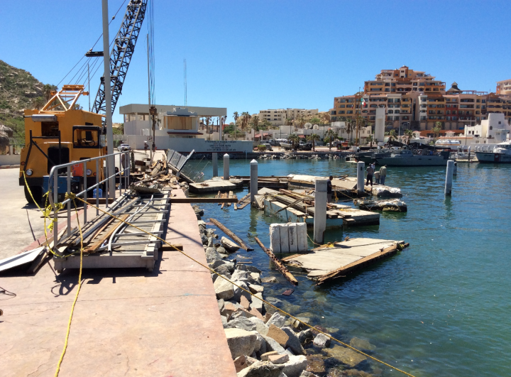 Photos of clean-up in Los Cabos following hurricane show extent of ...