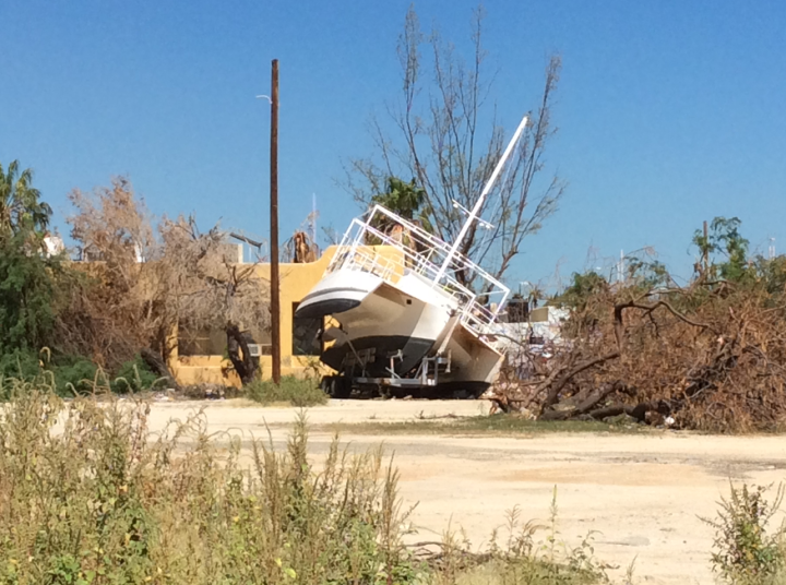 Photos of clean-up in Los Cabos following hurricane show extent of ...