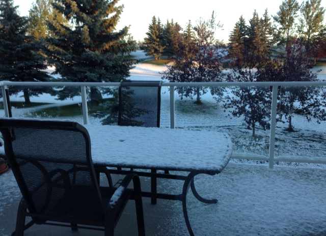 GALLERY: October snow in southern Alberta | Globalnews.ca