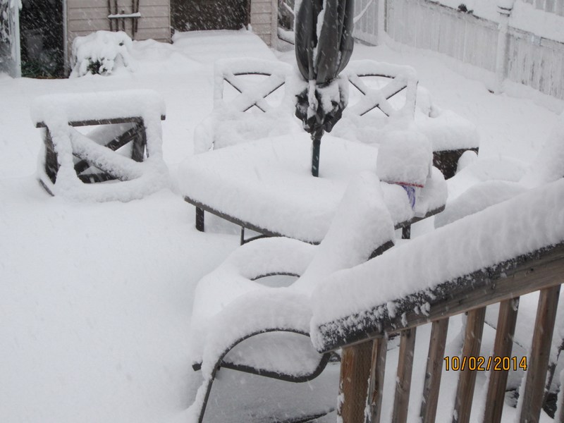 GALLERY: October snow in southern Alberta | Globalnews.ca