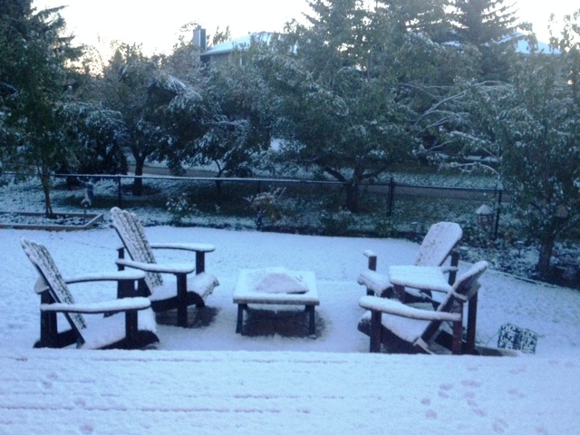 GALLERY: October snow in southern Alberta | Globalnews.ca