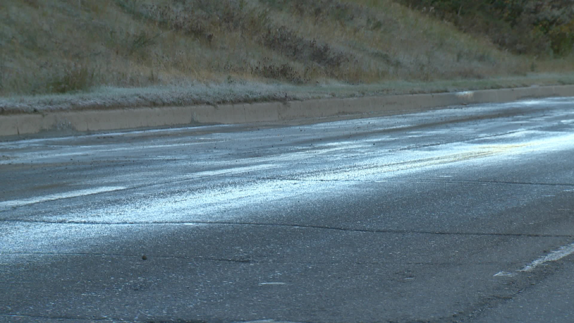 Unusual road hazard on Sarcee Trail - Calgary | Globalnews.ca