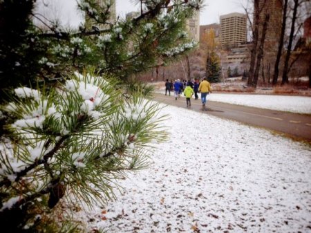 Just a matter of time: Edmonton hit with snowfall - Edmonton ...