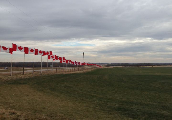 Fallen Canadian soldiers honoured with central Alberta roadside flag ...