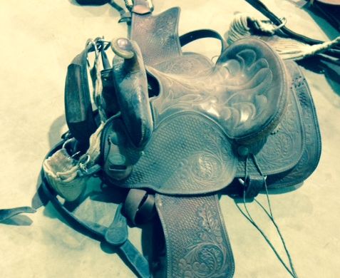 Stolen saddles recovered and Alberta RCMP seek owners | Globalnews.ca