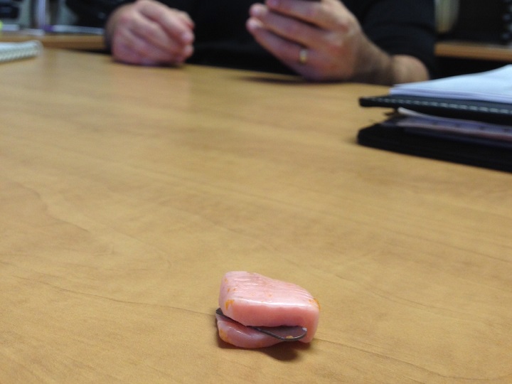 Manitoba teen finds blade in Halloween candy - Winnipeg | Globalnews.ca