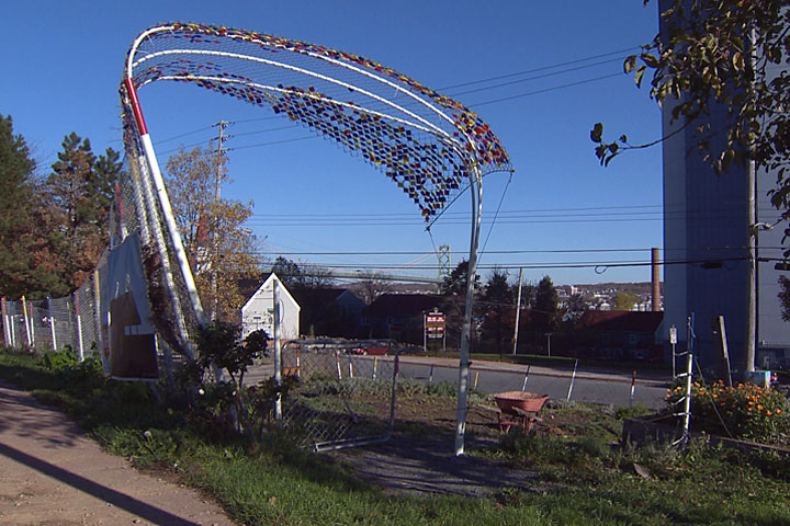 Halifax gardening program ‘Hope Blooms’ growing again - Halifax ...