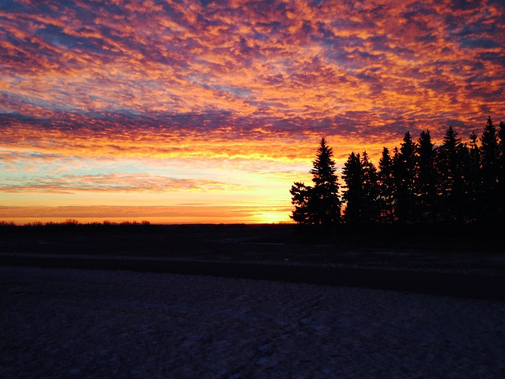 Your Manitoba: November - Winnipeg | Globalnews.ca