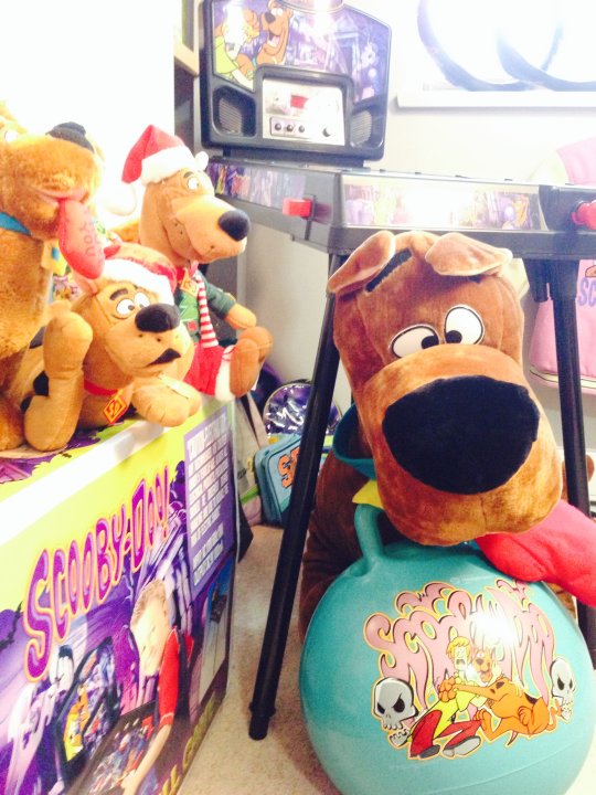 Jinkies! West Vancouver woman sets world record for Scooby-Doo ...