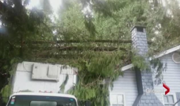 Coquitlam family left homeless after Thursday’s windstorm - BC ...