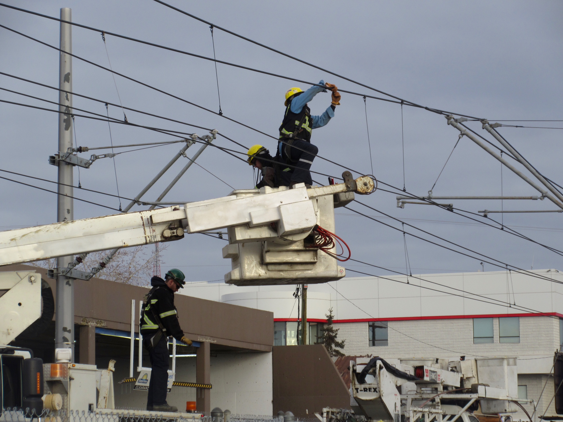 Downed power line disrupts CTrain service on south LRT - Calgary ...
