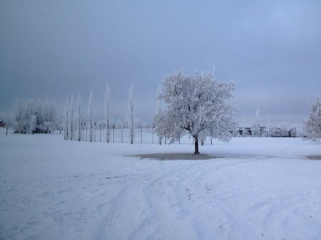 PHOTO GALLERY: Hoar frost covers Saskatchewan - Saskatoon | Globalnews.ca