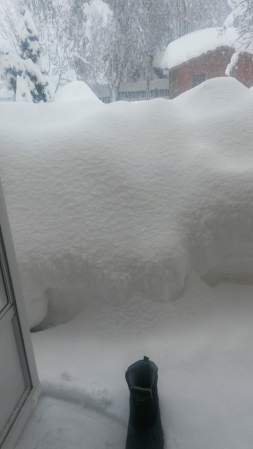 PHOTOS: Terrace and Kitimat hit by huge snowfall - BC | Globalnews.ca