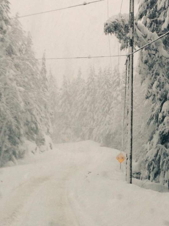 PHOTOS: Terrace and Kitimat hit by huge snowfall - BC | Globalnews.ca