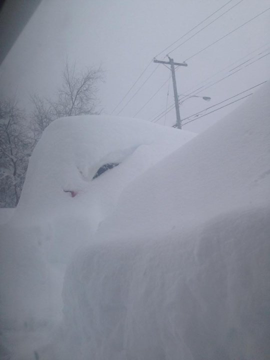 PHOTOS: Terrace and Kitimat hit by huge snowfall - BC | Globalnews.ca