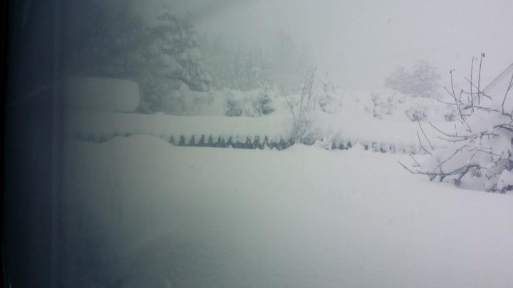 PHOTOS: Terrace and Kitimat hit by huge snowfall - BC | Globalnews.ca