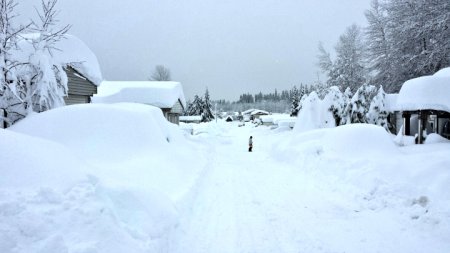 PHOTOS: Terrace and Kitimat hit by huge snowfall - BC | Globalnews.ca