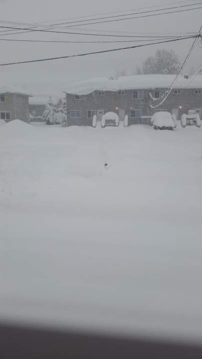 PHOTOS: Terrace and Kitimat hit by huge snowfall - BC | Globalnews.ca