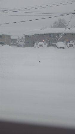 PHOTOS: Terrace and Kitimat hit by huge snowfall - BC | Globalnews.ca