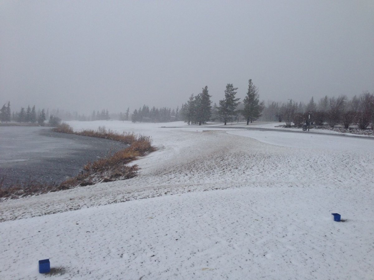 Snow and wind pound Edmonton region | Globalnews.ca