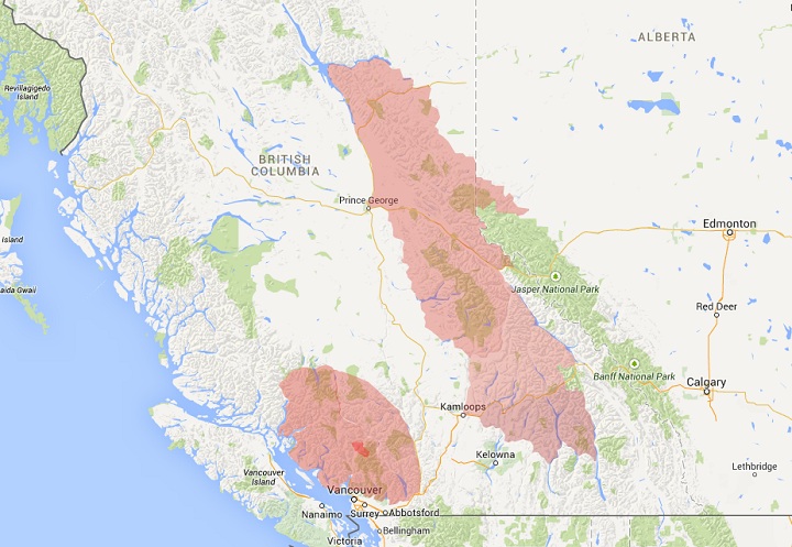 UPDATE: Avalanche warning issued for backcountry skiers in Sea-to-Sky ...