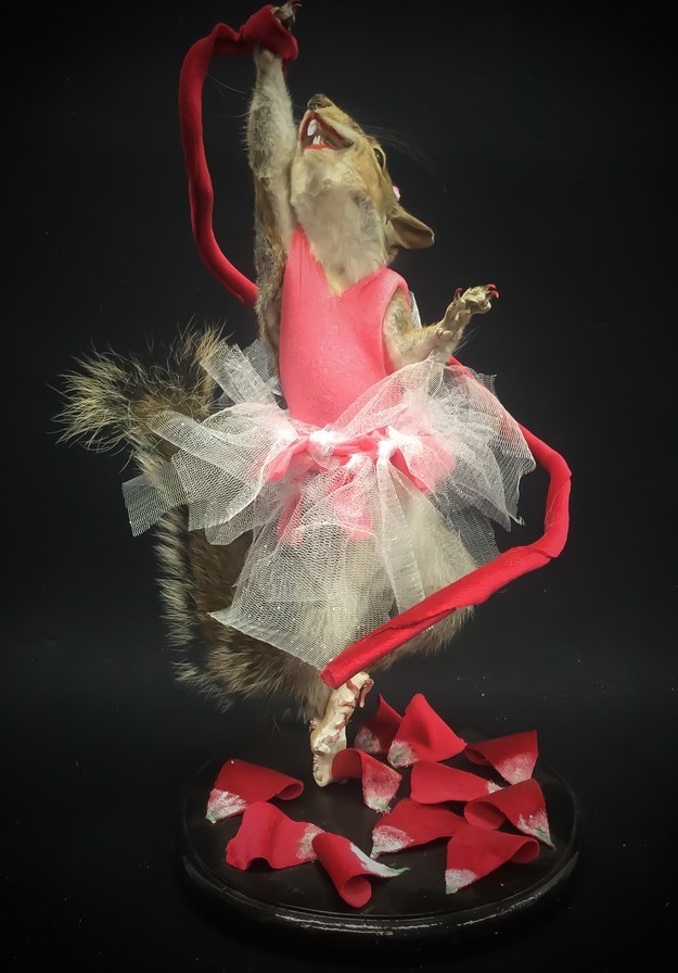 Taxidermist’s bizzare stuffed squirrel creations may shock you ...