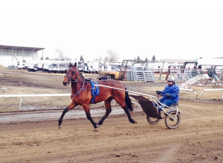 AGLC approves horse racing track near Edmonton International Airport ...