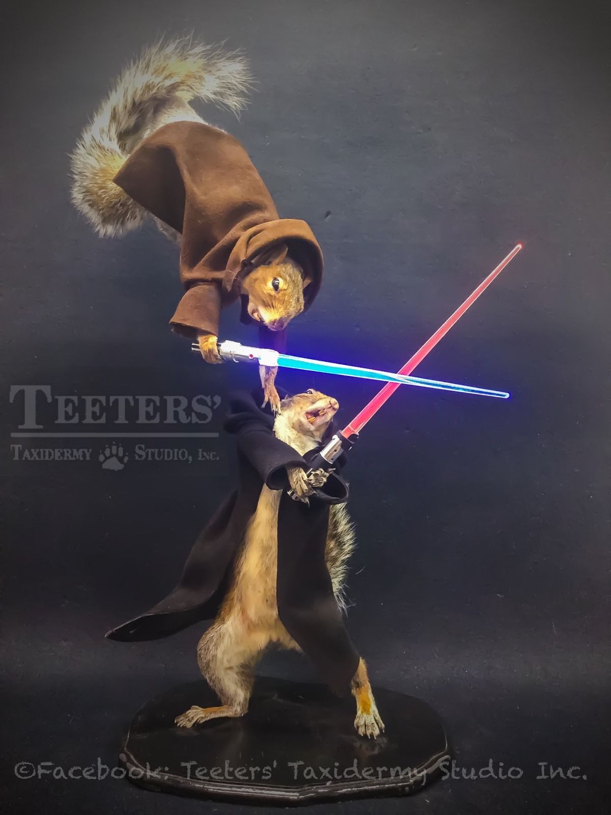 Taxidermist’s bizzare stuffed squirrel creations may shock you ...