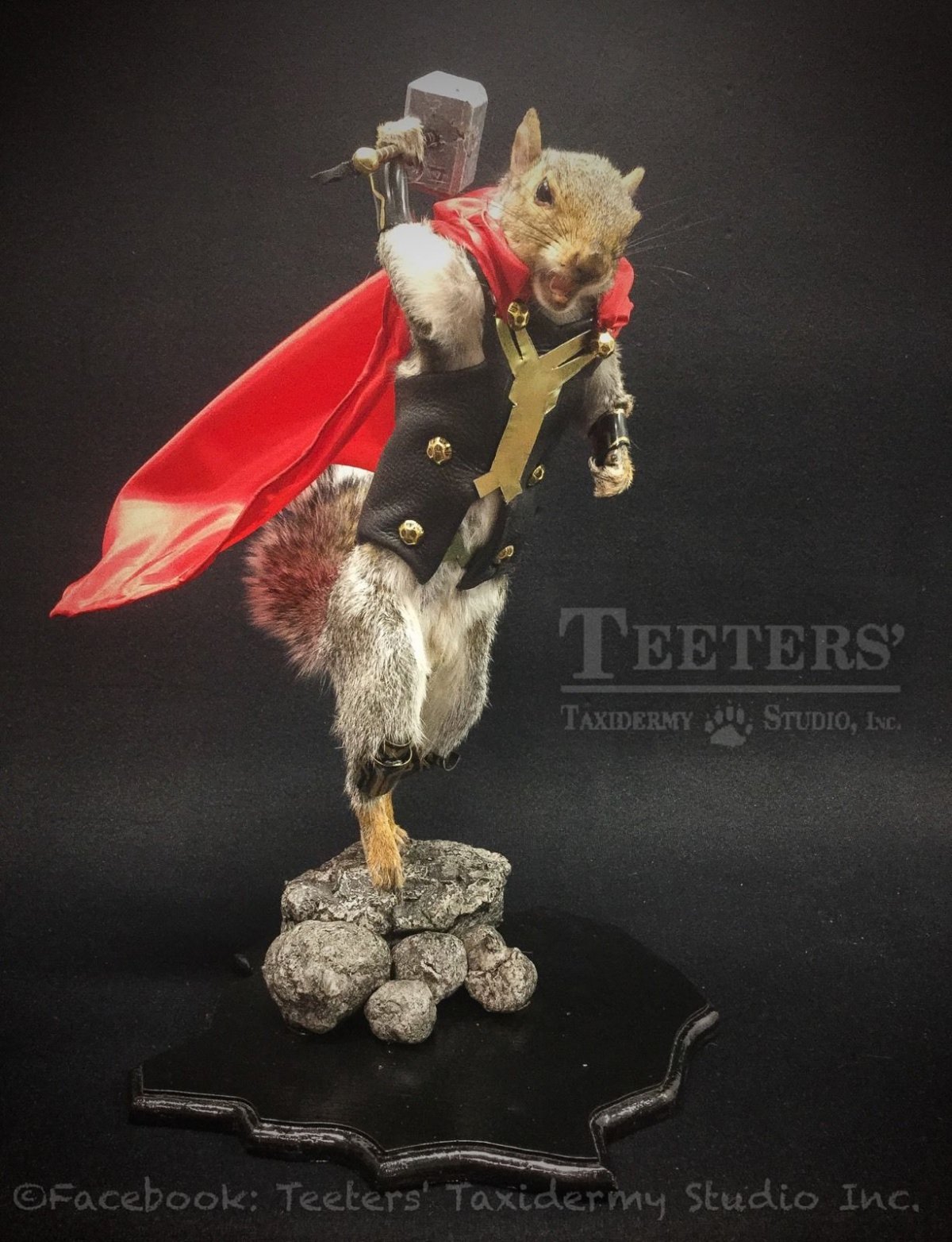 Taxidermist’s bizzare stuffed squirrel creations may shock you ...