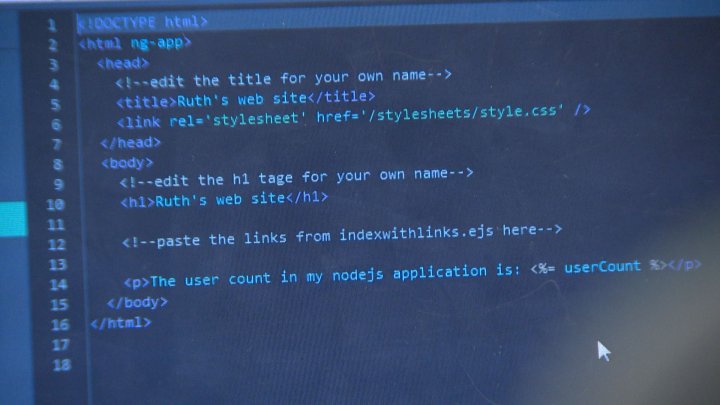 Computer science ‘job skill of the future,’ should it be mandatory ...