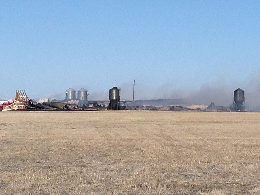 Thousands of hogs die in huge barn fire - Winnipeg | Globalnews.ca
