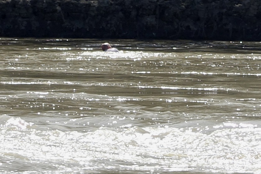 PHOTOS: Winnipeg man survives kayak capsizing near The Forks - Winnipeg ...