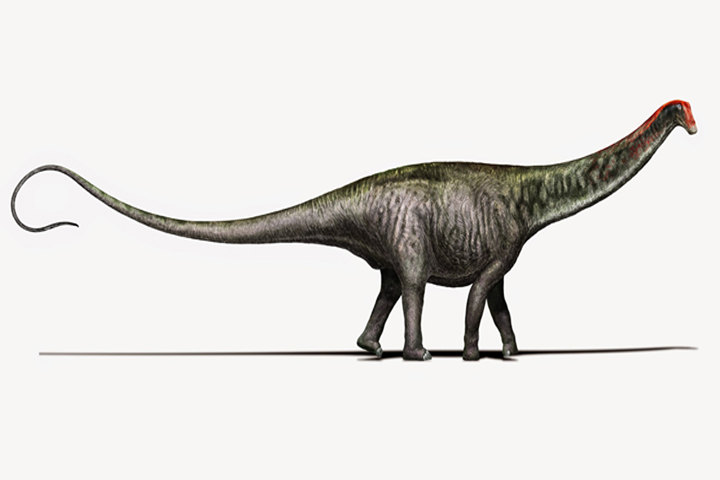 The Brontosaurus makes a comeback — of sorts | Globalnews.ca