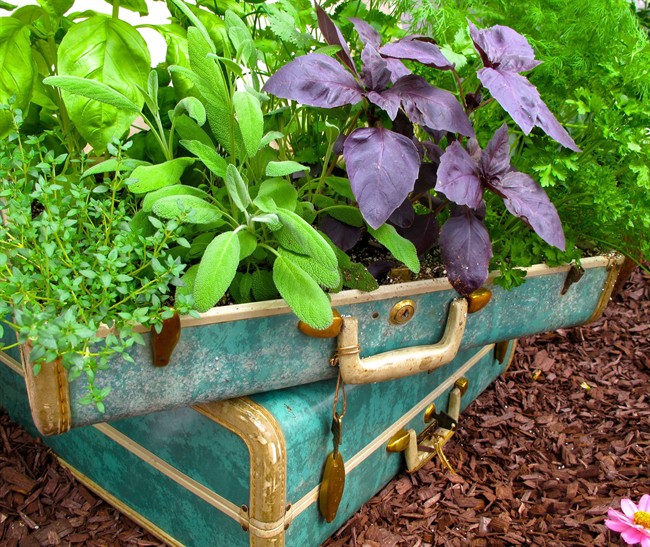 Garden trends: Containers, grow bags and other ideas for portable ...