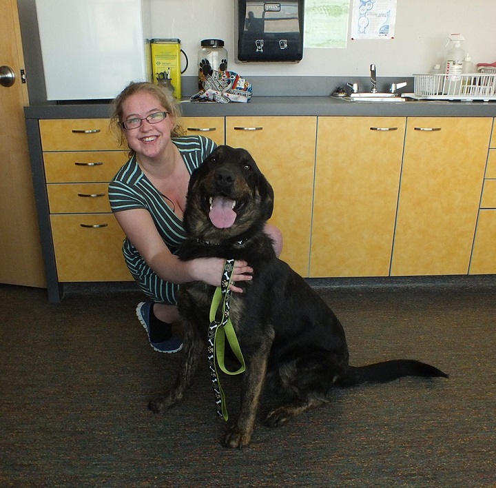 Alberta dog reunites with owner in Manitoba | Globalnews.ca